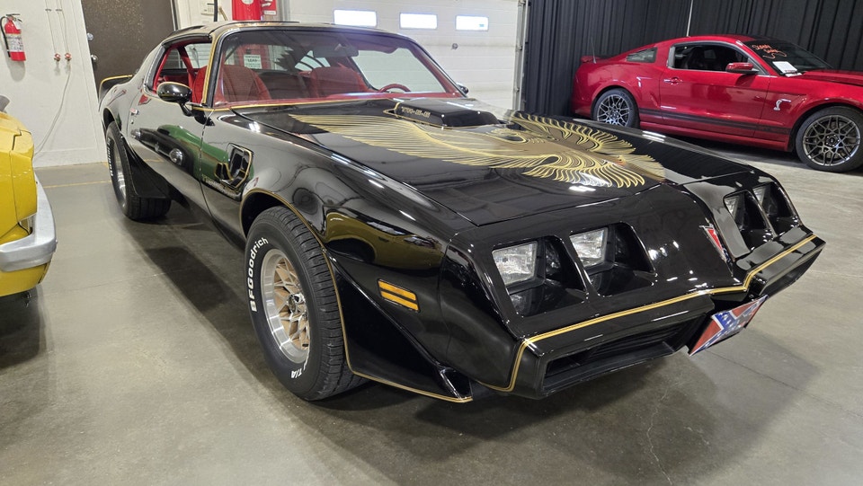 1981 Pontiac TRANS AM | Classic Cars | Winnipeg | Free local ...