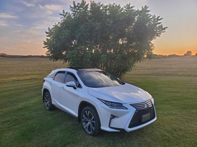 2017 Lexus RX 350 AWD - Executive Package, Excellent Condition | Cars ...