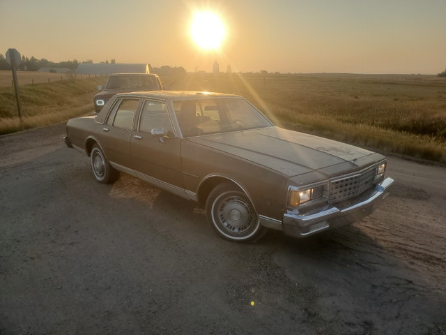 Rare, Rust free Low Mileage 82' Caprice Diesel, Only 27k! $12 Plates ...
