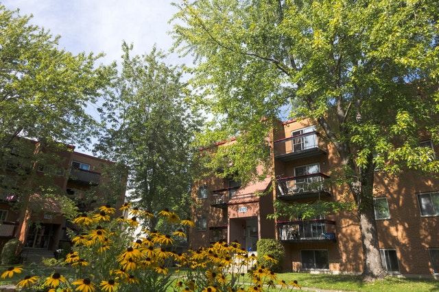 CHARNY 4 1/2 TOUT INCLUS - septembre | Locations longue durée | Lévis ...