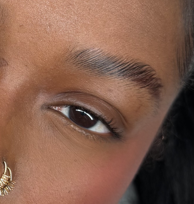 PMU LIP BLUSH | NANO/COMBO BROWS | LASH/EYEBROW LAMINATION | Health and ...