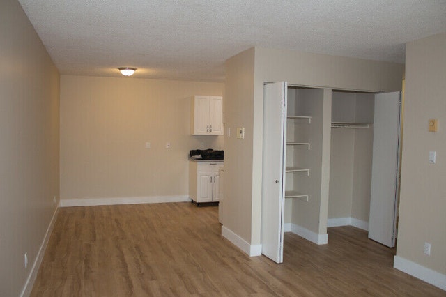 1br - Madison Apartments -1 Bedroom Units starting from $1395 | Long ...