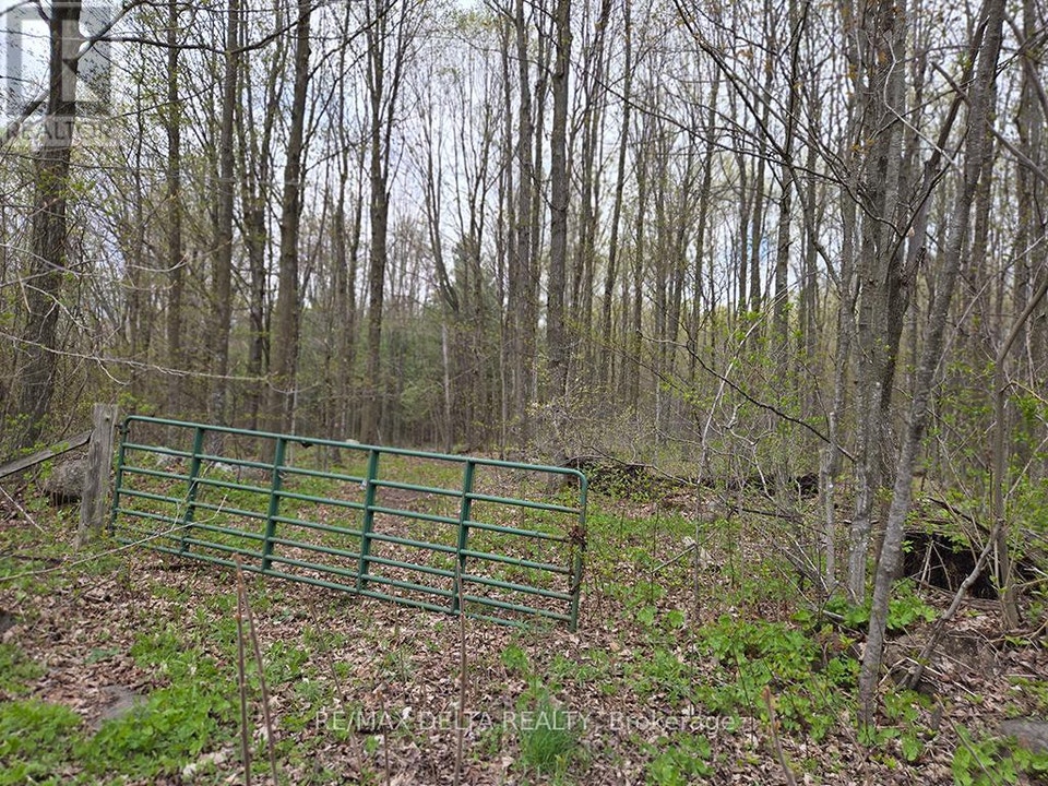 000 CONCESSION 5 ROAD North Glengarry, Ontario | Land for Sale | Ottawa ...