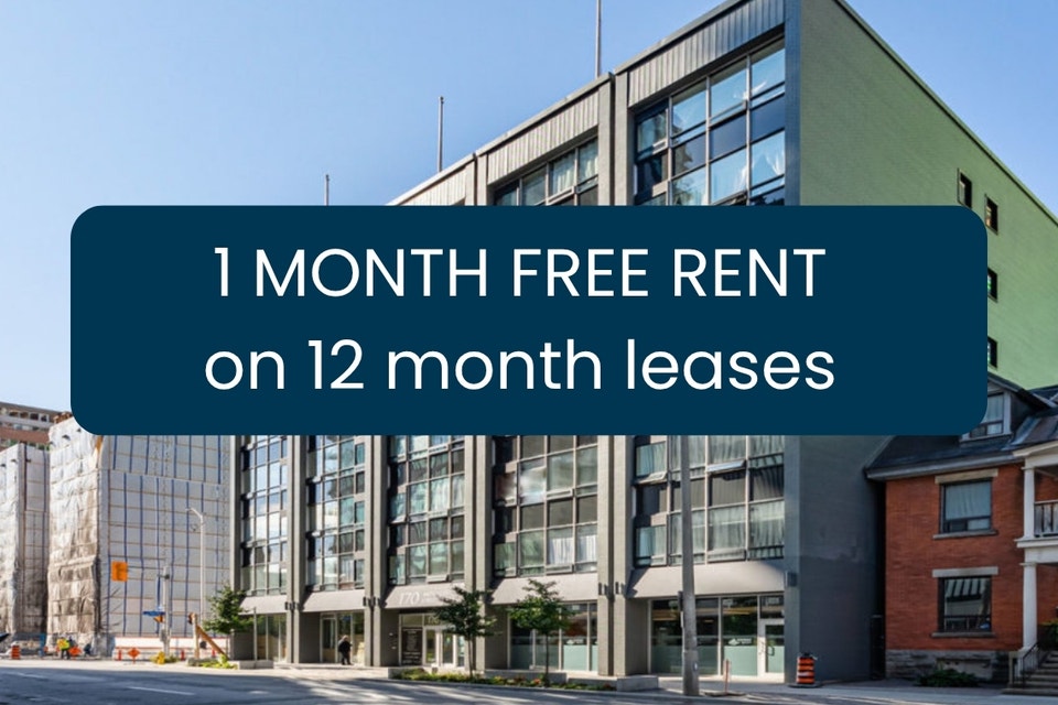 1 Bed - Gym/theater/rooftop patio -1 Month Free -Pet friendly | Long ...