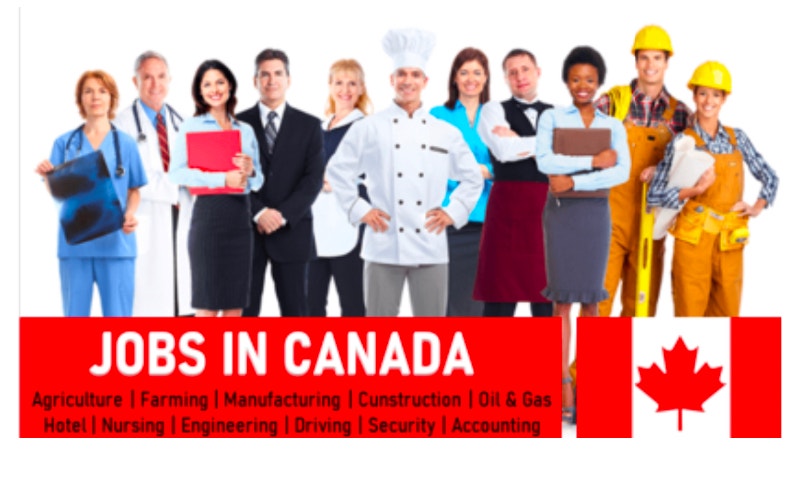 Jobs Available for Foreign Workers 289-216-7677 | General Labour | City ...