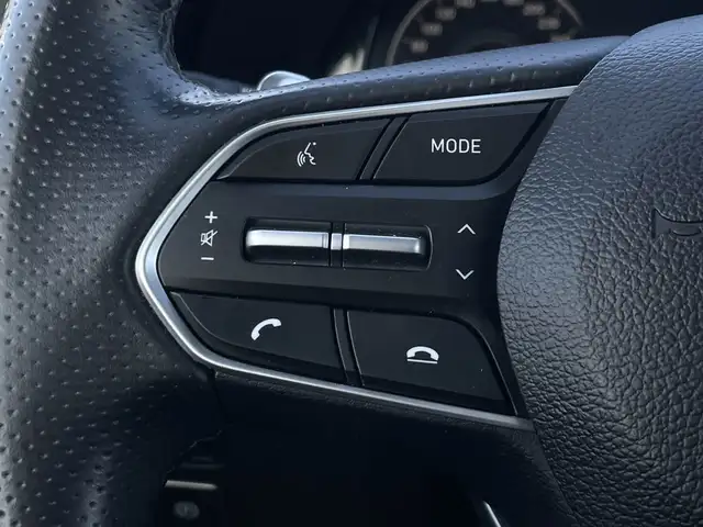 2022 Hyundai Palisade Ultimate Calligraphy | Cars & Trucks | Calgary ...