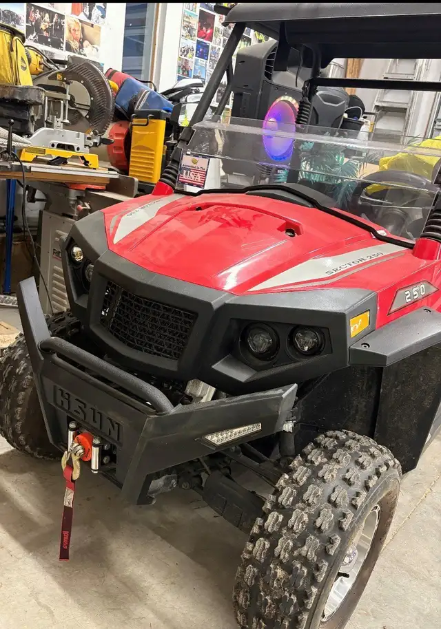 2015 Sector 250 | ATVs | Kawartha Lakes | Free local classifieds - Kijiji
