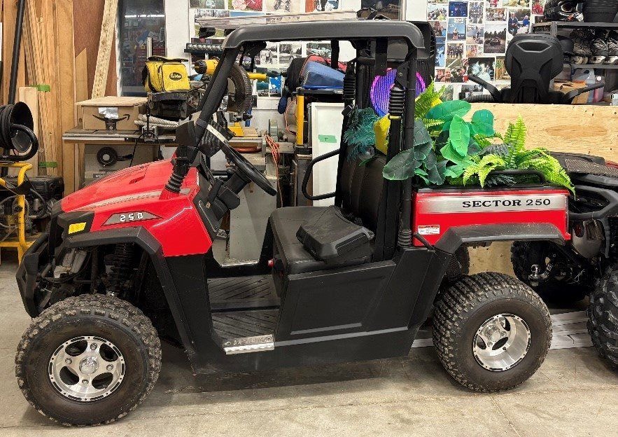 2015 Sector 250 | ATVs | Kawartha Lakes | Free local classifieds - Kijiji