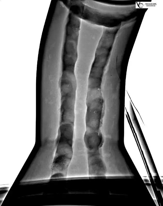 Weld Inspection Trainees / X-ray Assitants | Construction & Trades ...