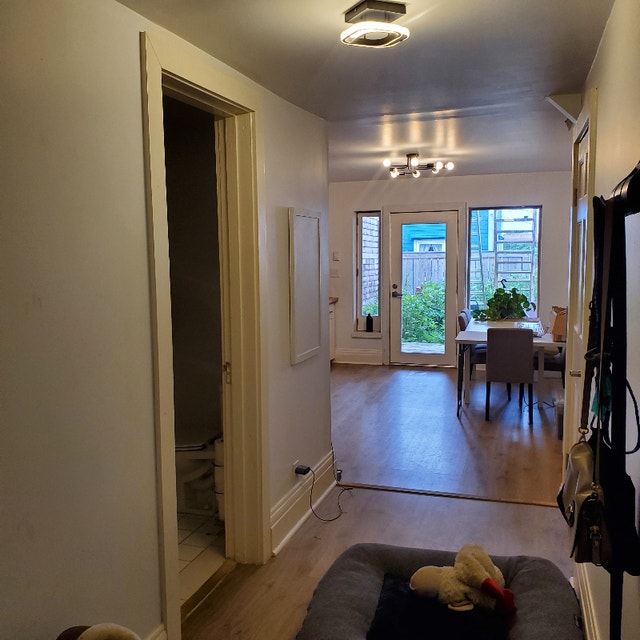 Lovely 1-bedroom - Uptown – Aug 1st | Long Term Rentals | Saint John ...