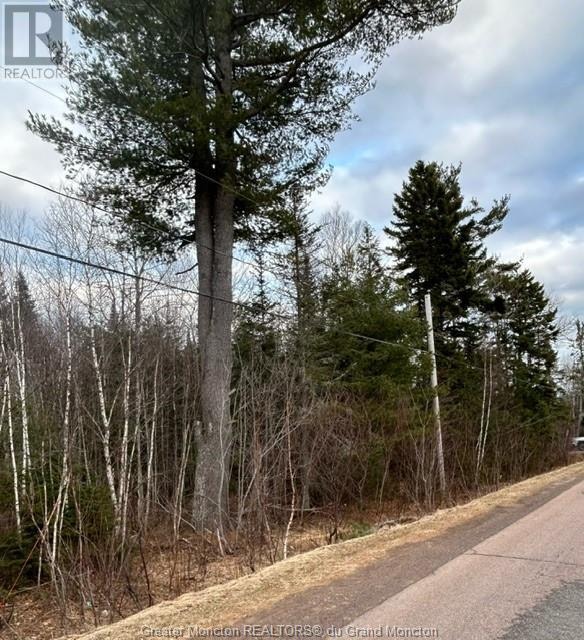 Lot 23-2 Route 134 Cocagne, New Brunswick | Land for Sale | Moncton ...
