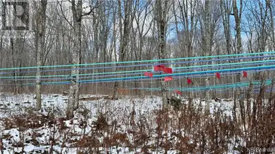 83 ads for farm in Real Estate in New Brunswick | Kijiji Marketplaces