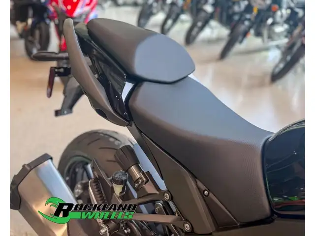 2025 Kawasaki NINJA 1100SX | Street, Cruisers & Choppers | Ottawa ...