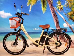 Triporteur | Kijiji à Québec : acheter et vendre sur le site de petites ...