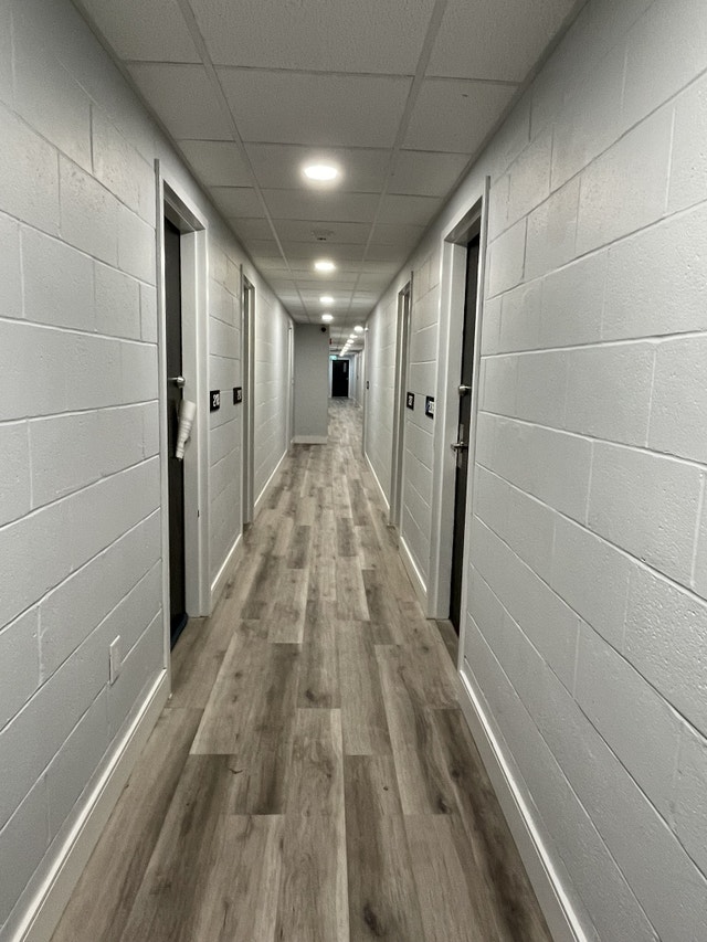 Saint John Bachelor Apartment for Rent - 175 Britain St | Long Term ...