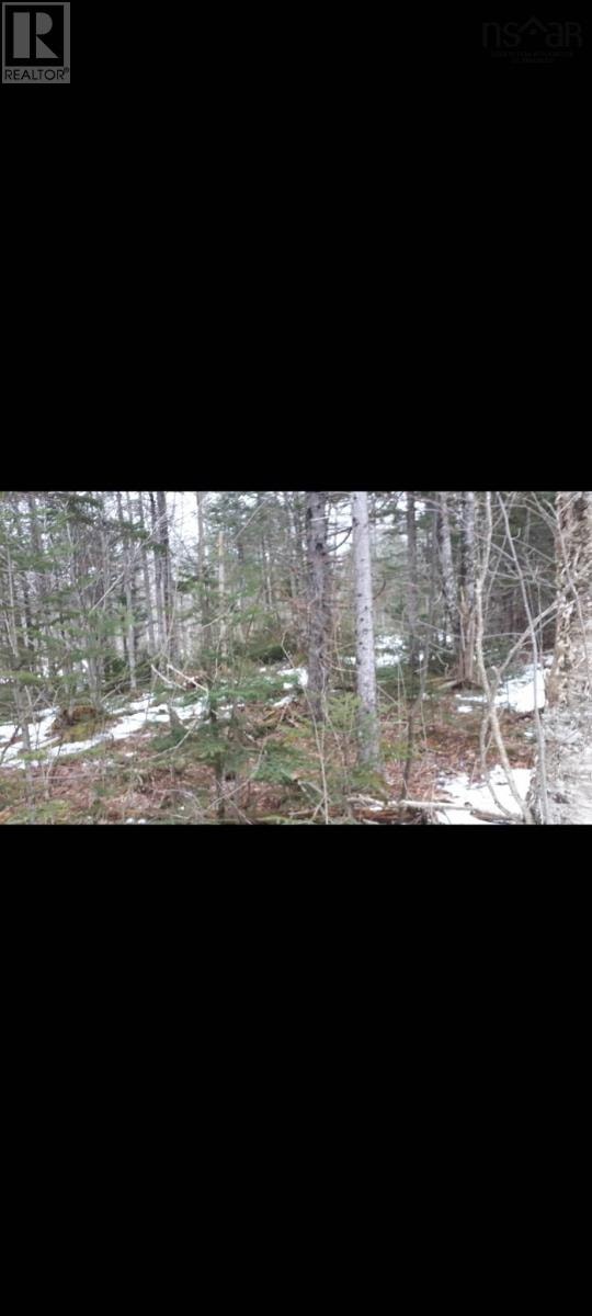 Lower Cross Road Youngs Cove, Nova Scotia | Land for Sale | Annapolis ...