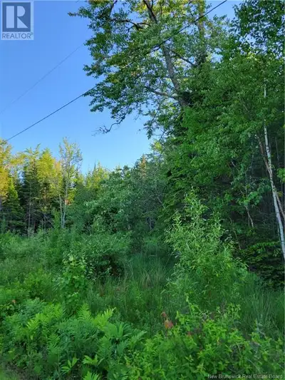 50 ads for grand lake in Real Estate in New Brunswick | Kijiji Marketplaces