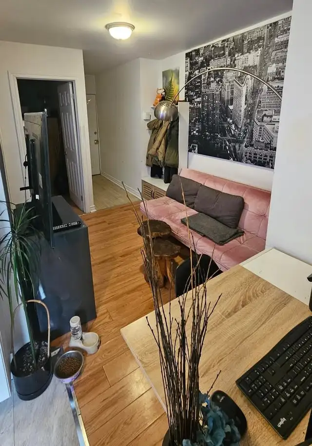 3 1/2 Longueuil (2278-2) libre Janvier | Long Term Rentals | Longueuil / South Shore | Free ...