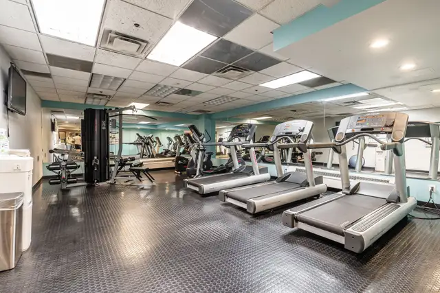 Renovated studio, Queen and Niagara - ID 4318 | Long Term Rentals ...