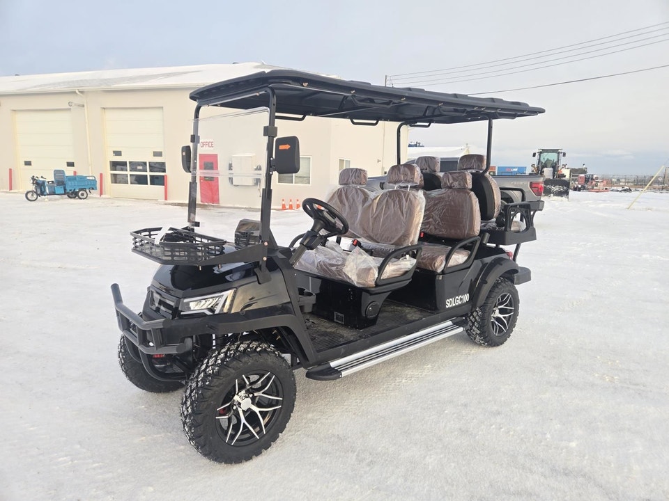 2025 SDLANCH Electric Golf Cart SDLGC100 | ATVs | Edmonton | Free local ...