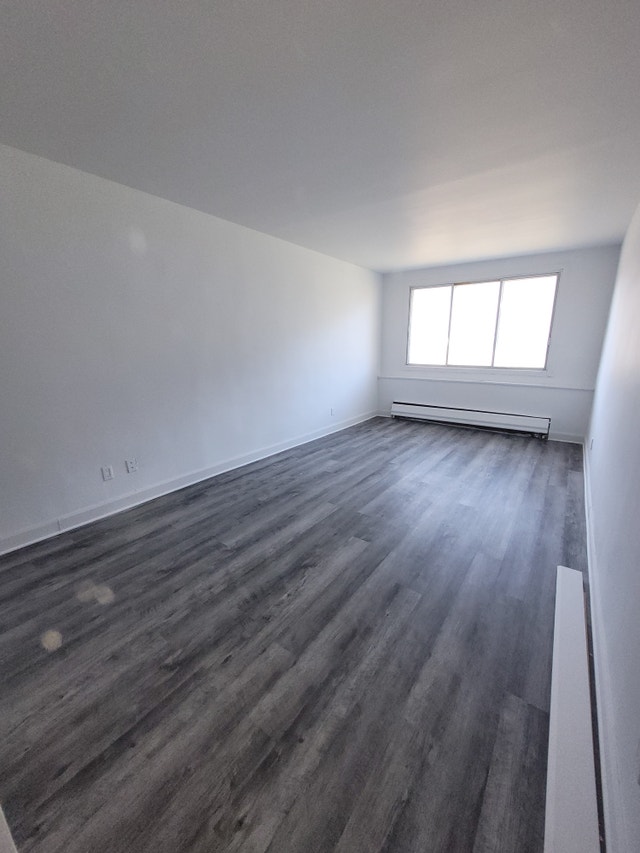 2½ ,A,LOUER,FOR,RENT,ROSEMONT,BEAUBIEN EST,STUDIO,BACHELOR | Locations ...