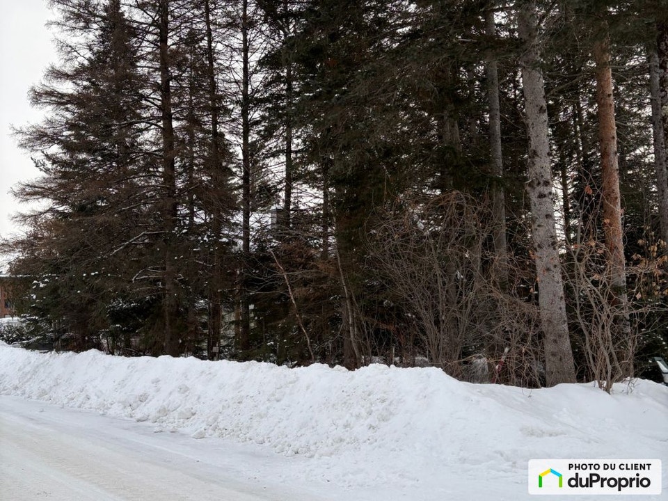 $225,000 - Residential Lot for sale in Val-David | Land for Sale ...