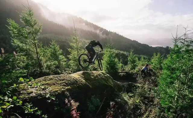 2025 Transition RELAY ALLOY PNW GX | Street, Cruisers & Choppers ...