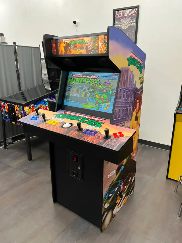 Full Size Virtual Pinball Machine, Arcade & Driving Cabinets | Other ...