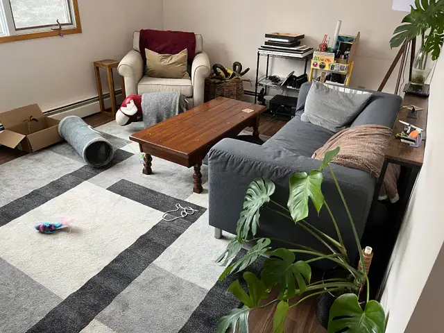 One Bedroom Apartment in Charlottetown | Long Term Rentals ...