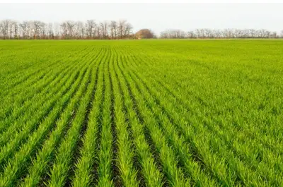 364 ads for farm in Land for Sale in Ontario | Kijiji Marketplaces