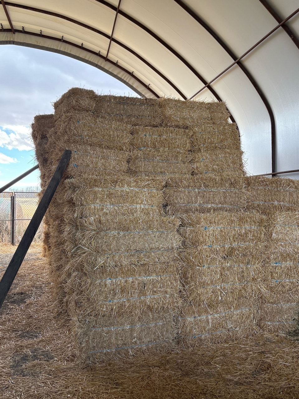 small wheat straw square bales | Livestock | Red Deer | Free local ...