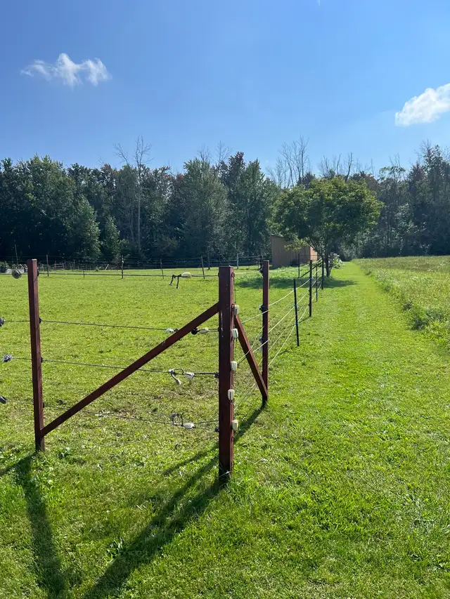 Outdoor horse boarding- Freelton | Equestrian & Livestock Accessories ...