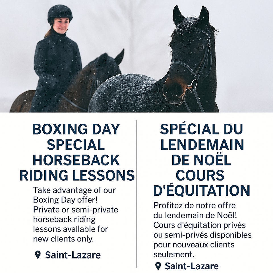 Boxing week/ Christmas Promotion on lessons and board | Horses & Ponies ...