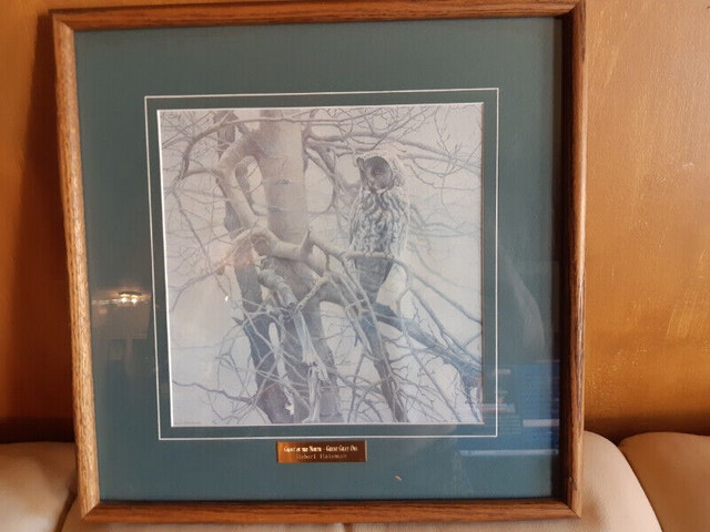 Robert Bateman Ghost Of The North Great Gray Owl Print Picture | Arts ...