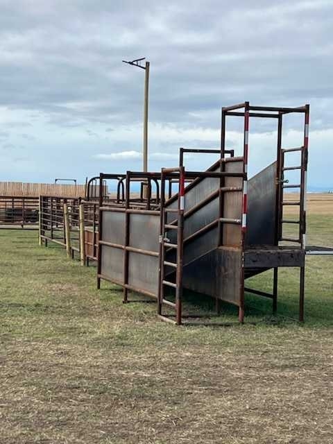 Livestock and cattle equipment. Chute. Loading ramp | Other | Red Deer ...