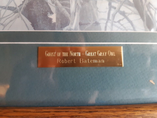 Robert Bateman Ghost Of The North Great Gray Owl Print Picture | Arts ...