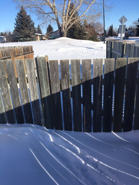 2 Bedroom Basement Suite for Rent. February 1, 2026 | Long Term Rentals ...