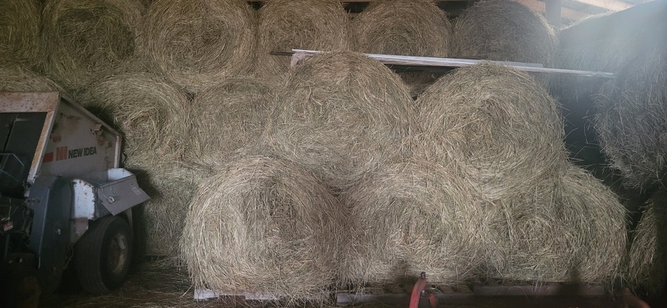 4 x 4 soft core timothy-alfalfa hay | Livestock | Summerside | Free ...