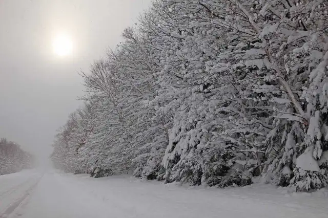 snow storm 20 cms expected until Thursday | Other | City of Toronto ...