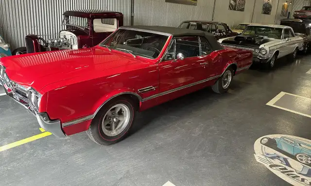 1966 OLDSMOBILE 442 TRI-POWER 4 SPD CONVERTIBLE FOR SALE / TRADE ...