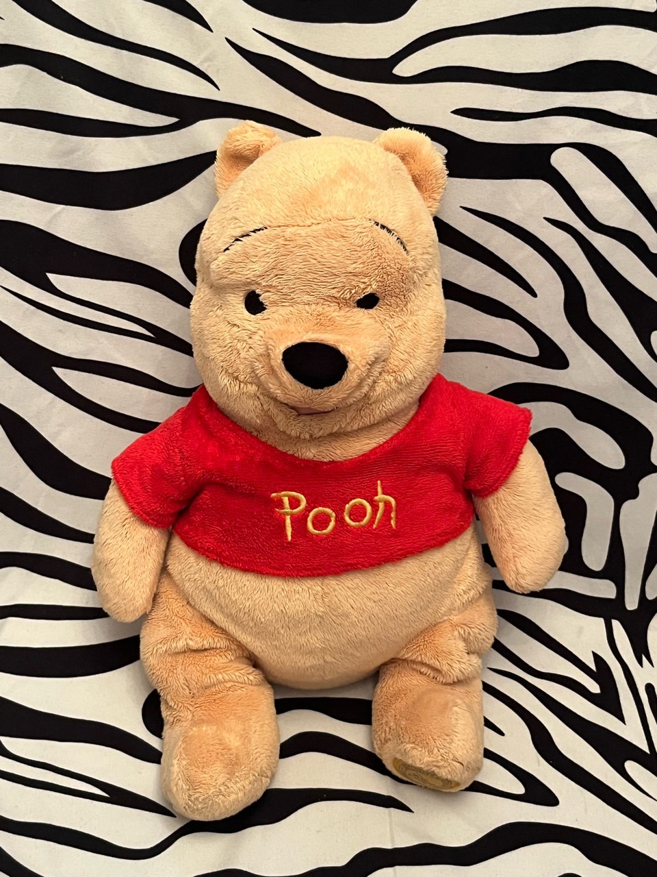 Disney Store Official Winnie-the-Pooh Plush Toy | Arts & Collectibles ...