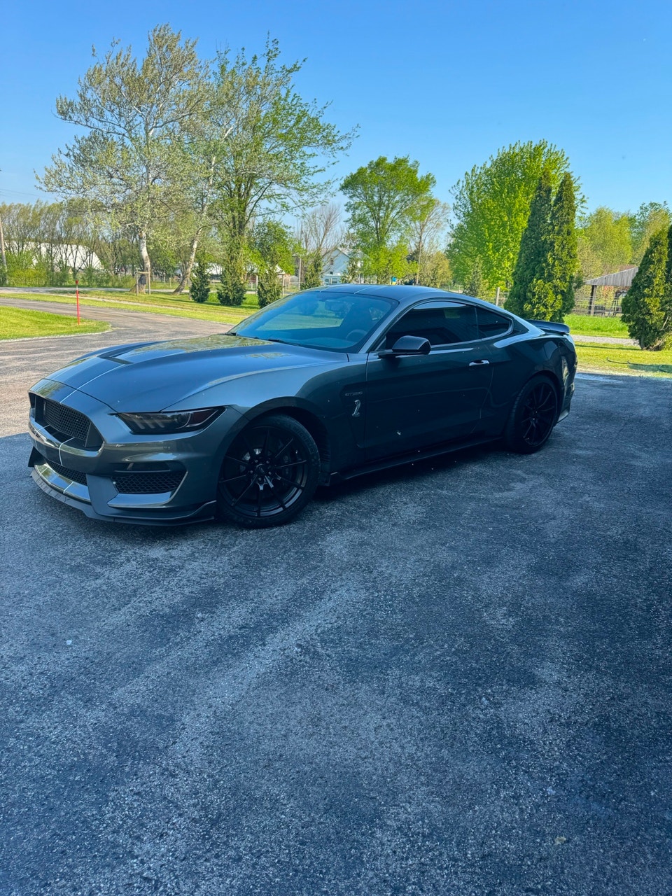 2017 Shelby Mustang GT350 | Cars & Trucks | St. Catharines | Free local ...