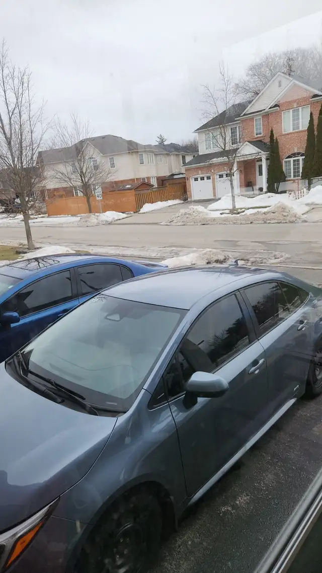 One Bedroom Basement Apartment Available with Parking | Room Rentals ...