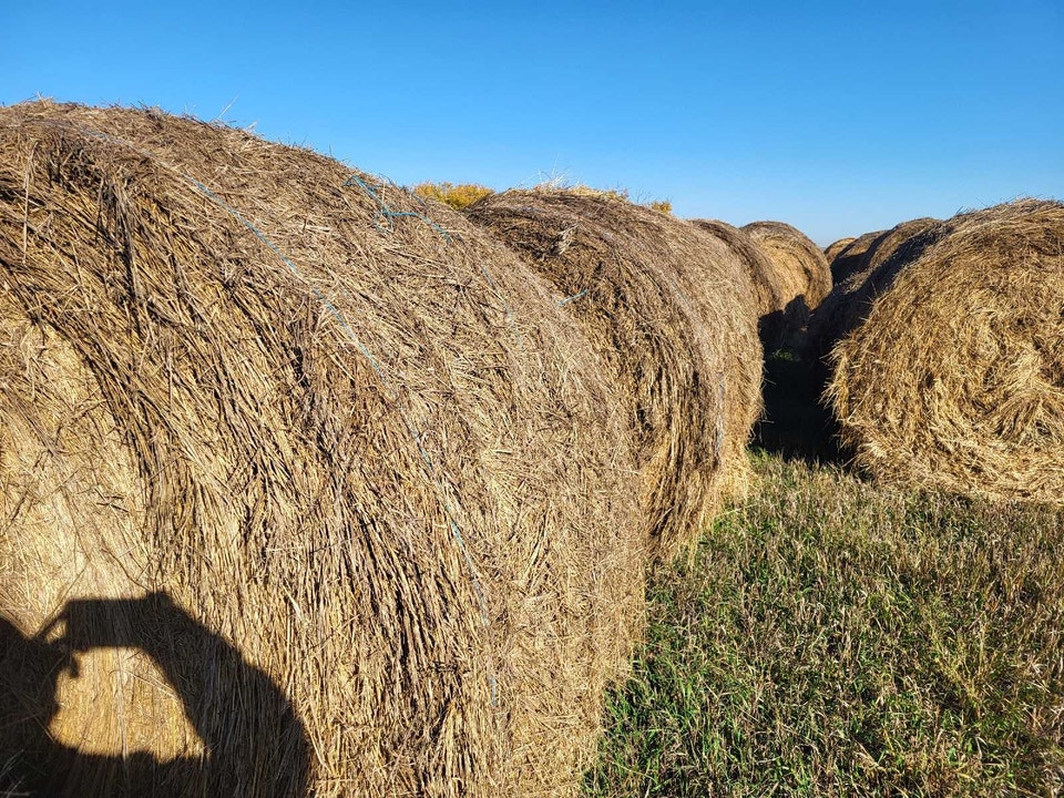 2025 Round hay bales for sale Alfalfa Brome | Other | Regina | Free ...
