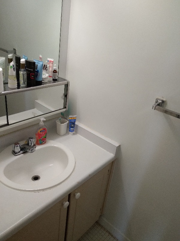 Private Master BR. Furnished. Aug 1st. Near Seneca Newham. | Room ...
