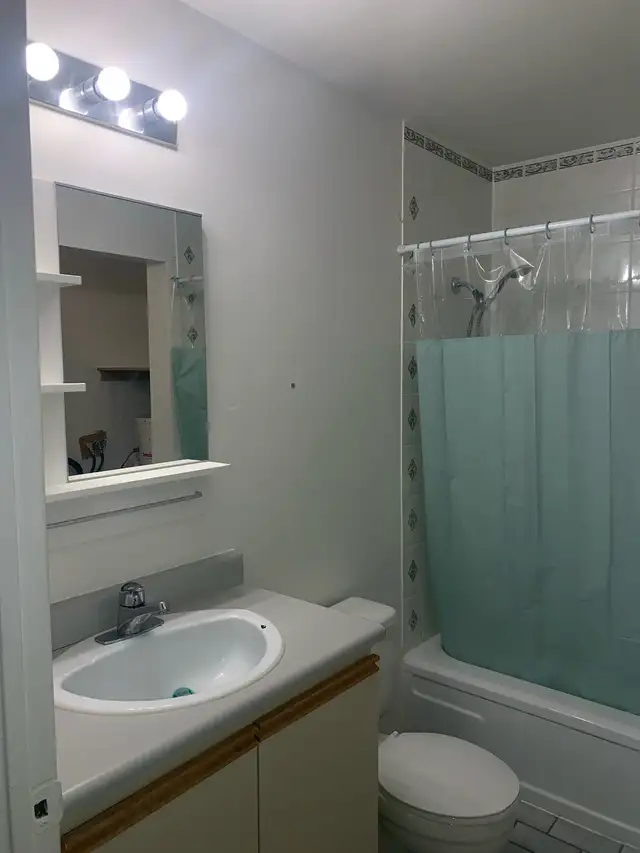 Luminous 3 1/2 5 mins walk metro Laurier | Long Term Rentals | City of ...