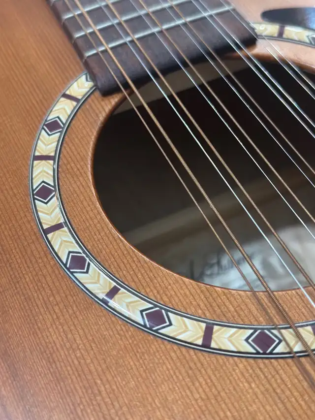 High-End Art & Lutherie 12-String Acoustic Guitar with bag | Guitars ...