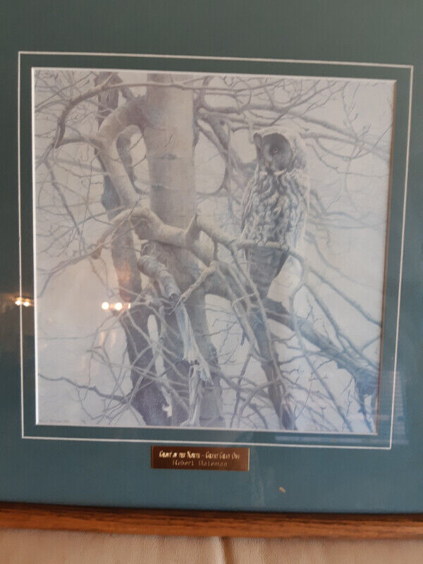 Robert Bateman Ghost Of The North Great Gray Owl Print Picture | Arts ...
