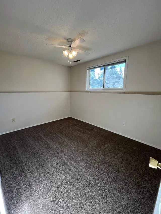 Walk to UofA - Utilites Included - Own bath/living room/office | Long ...