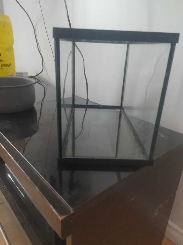 5 gallon fish tank no crack clean and no leaks | Fish for Rehoming ...